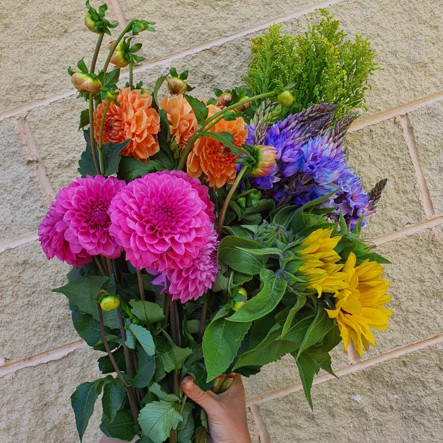 Looking for the Best Festive Christmas Flowers? Here’s How to Choose!