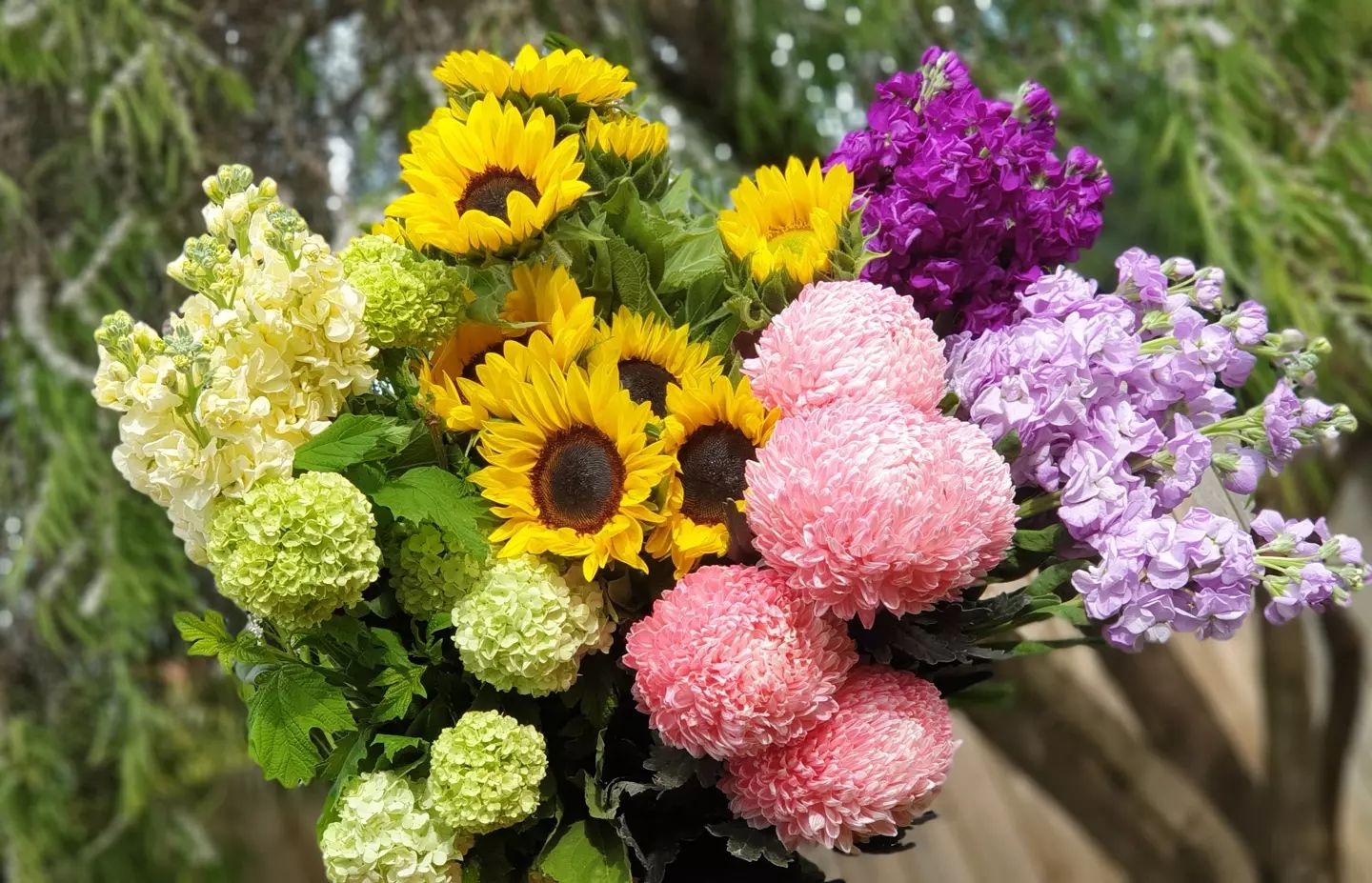 Excellent Reasons to Have Fresh Flowers in Your Workplace