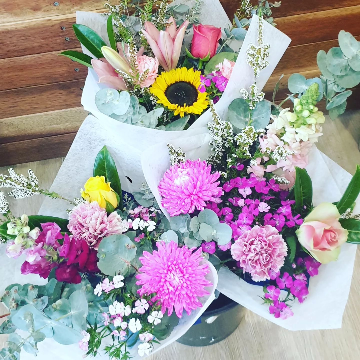 Pink Flowers 101: What Makes These Blooms so Special?
