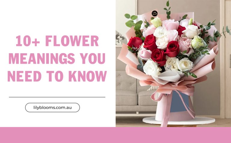 10+ Meaningful Flower Meanings To Express Emotions for Every Occasion